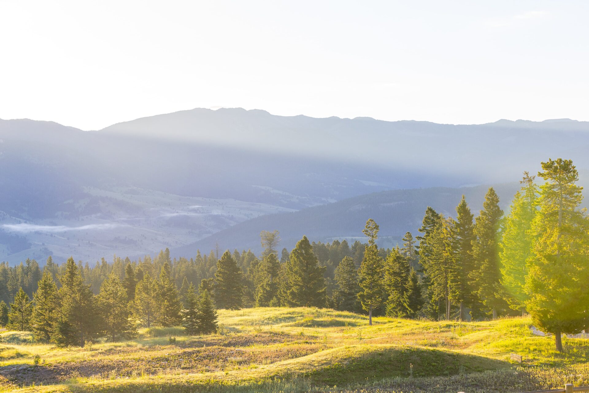 Bozeman Maintenance Services | Absolute Property Management, LLC